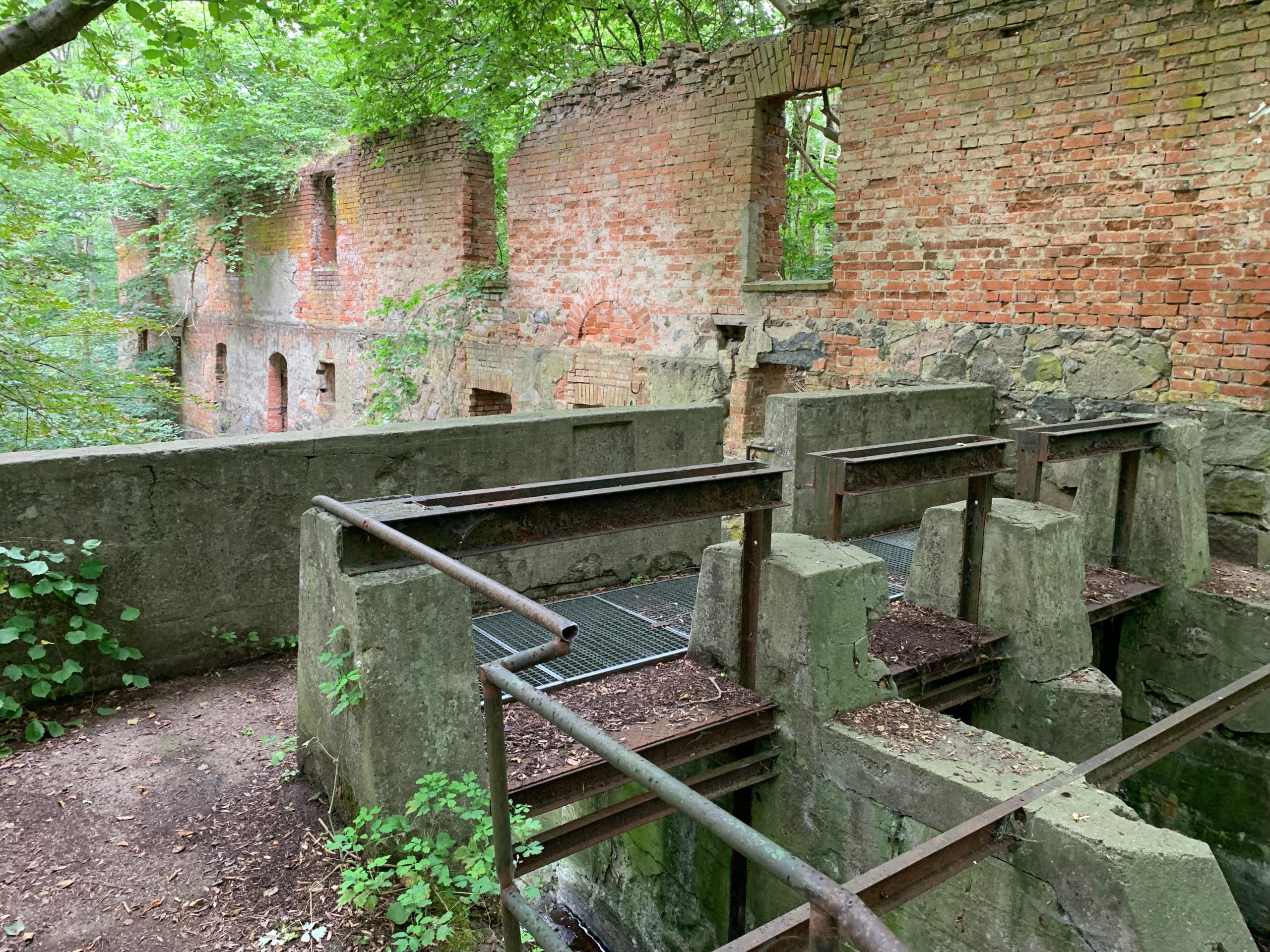 Ruine der Wanzkaer Mühle · Blankensee in Mecklenburg